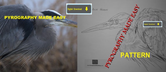 Great Blue Heron Pyrography Pattern Wood Burning Pattern | Etsy
