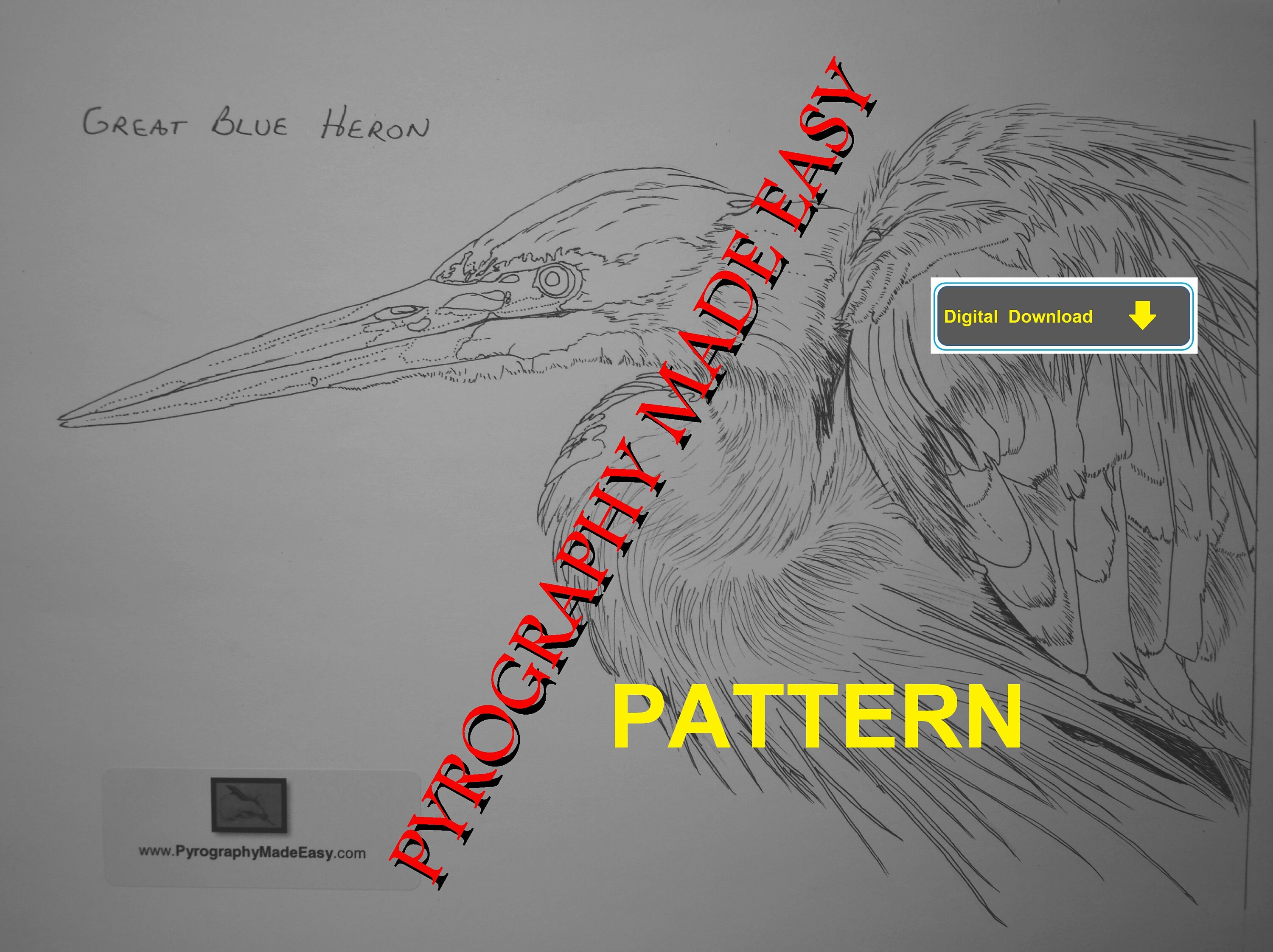 Great Blue Heron Pyrography Pattern Wood Burning Pattern Digital ...