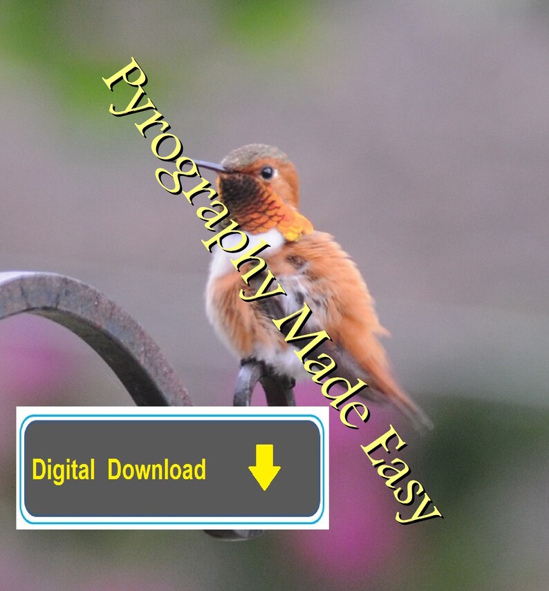 Rufus Hummingbird Pyrography Pattern Wood Burning Pattern Digital ...