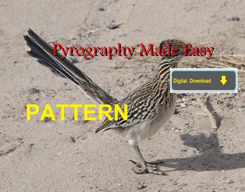 Roadrunner Bird Pyrography Pattern Wood Burning Pattern Digital ...
