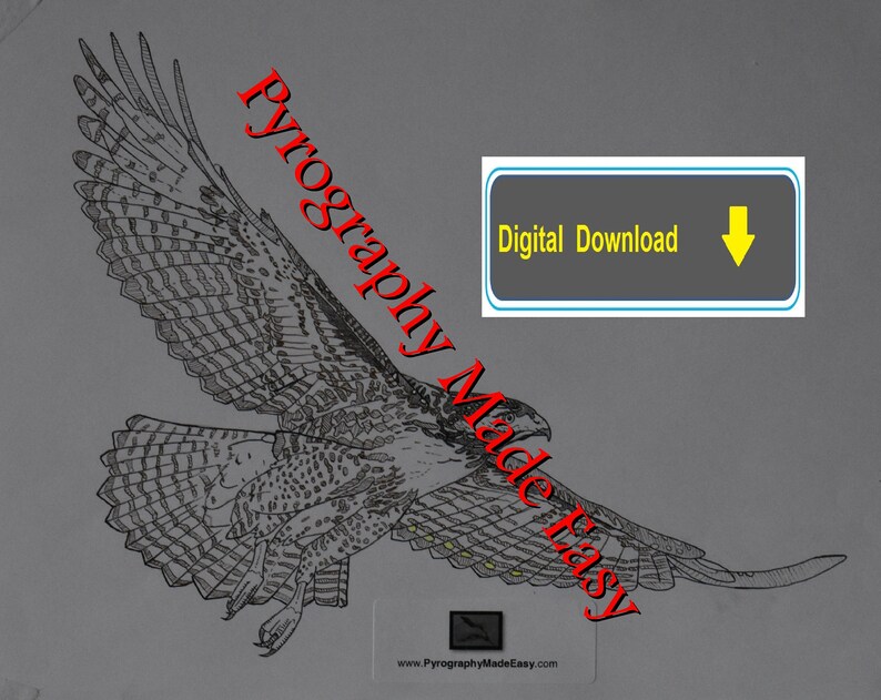 Flying Hawk Pyrography Pattern Wood Burning Pattern Digital Download - Etsy