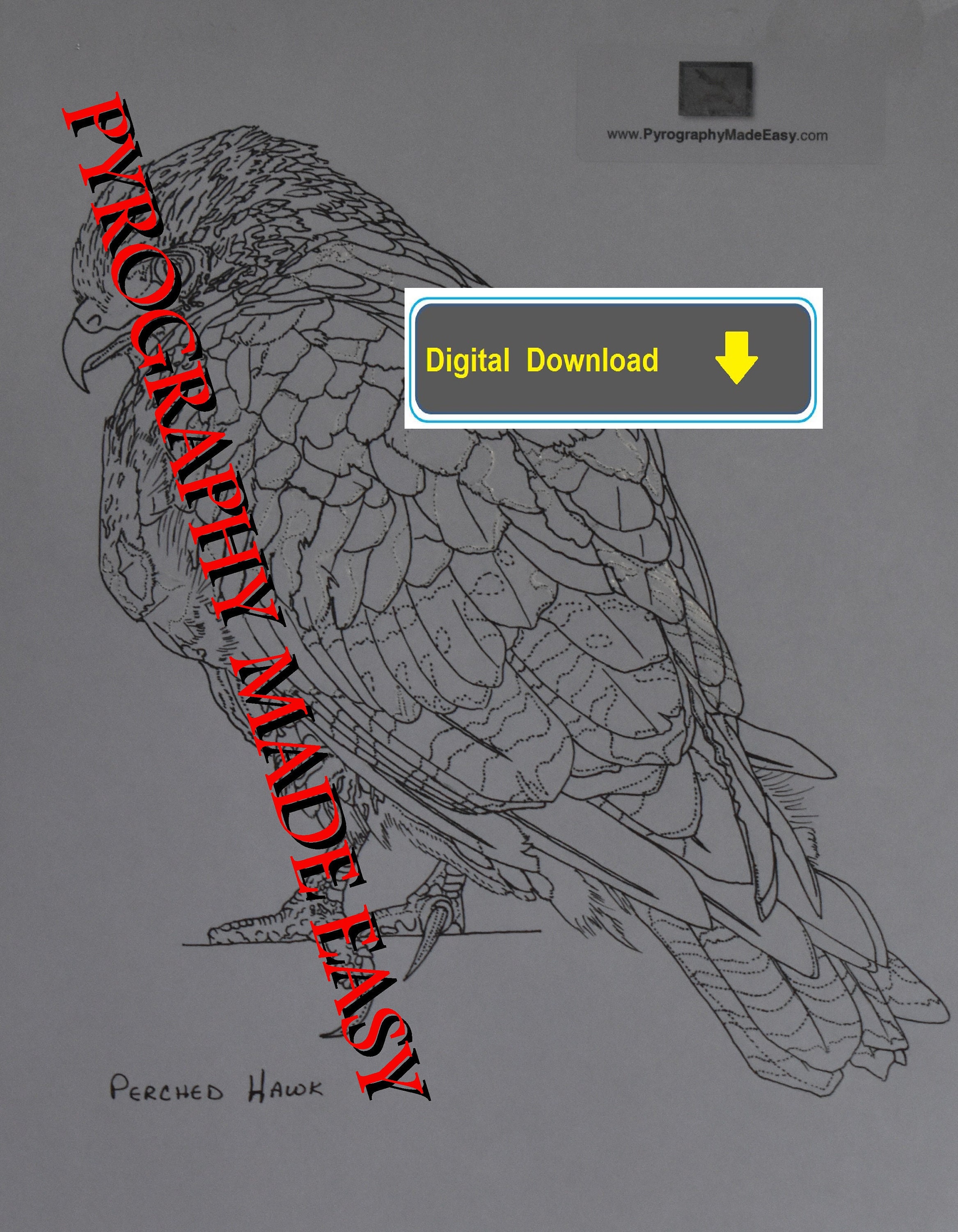 Perched Hawk Pyrography Pattern Wood Burning Pattern Digital Download ...