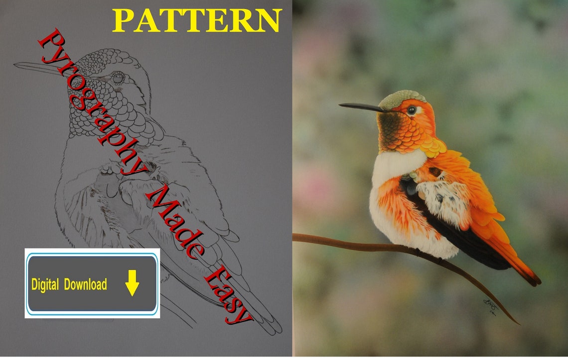 Rufus Hummingbird Pyrography Pattern Wood Burning Pattern - Etsy