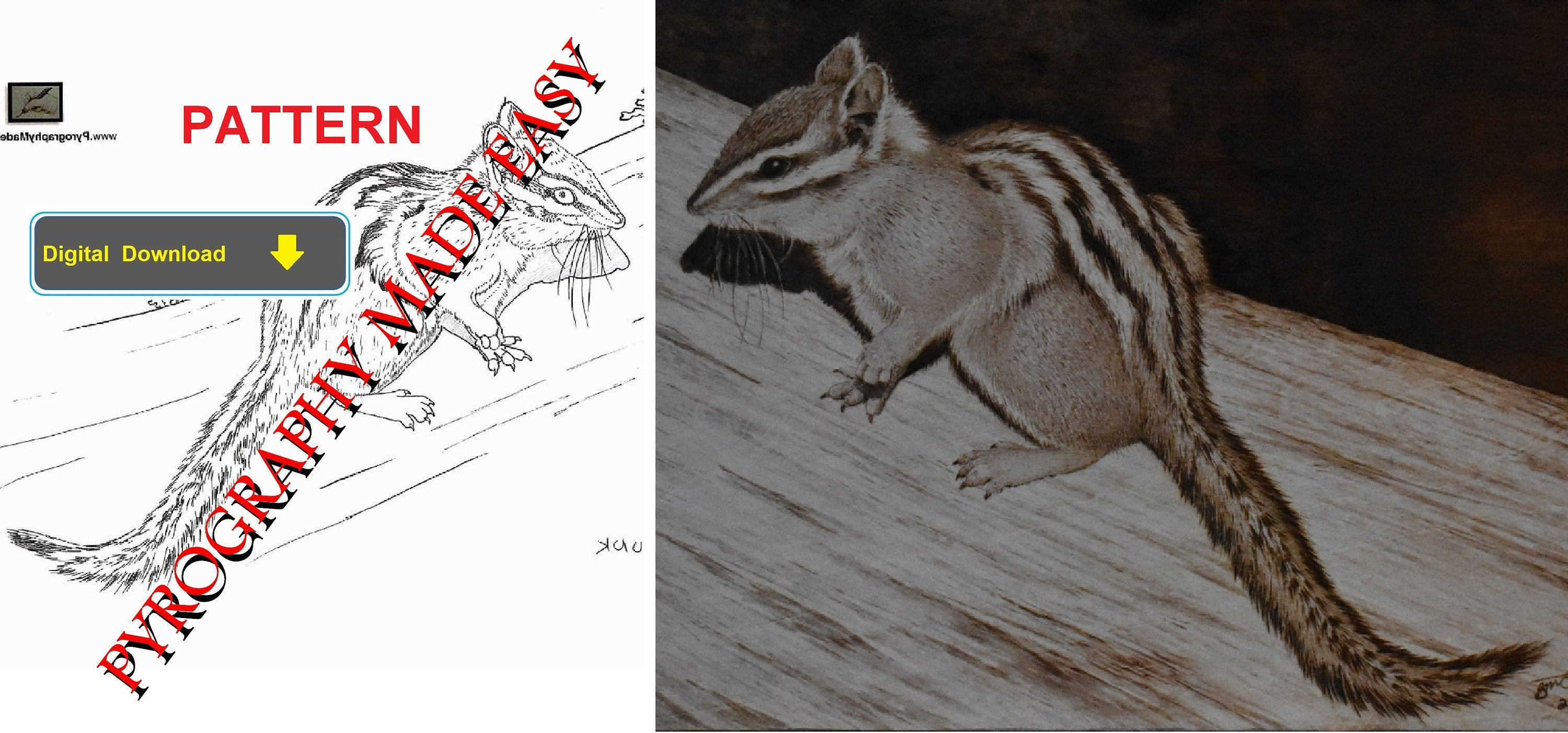 Chipmunk Pyrography Pattern Wood Burning Pattern Digital - Etsy