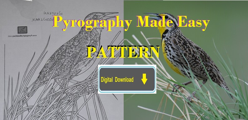 Western Meadowlark Bird Pyrography Pattern Wood Burning Pattern Digital ...