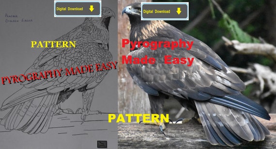 Golden Eagle Perched Pyrography Pattern Wood Burning Pattern | Etsy