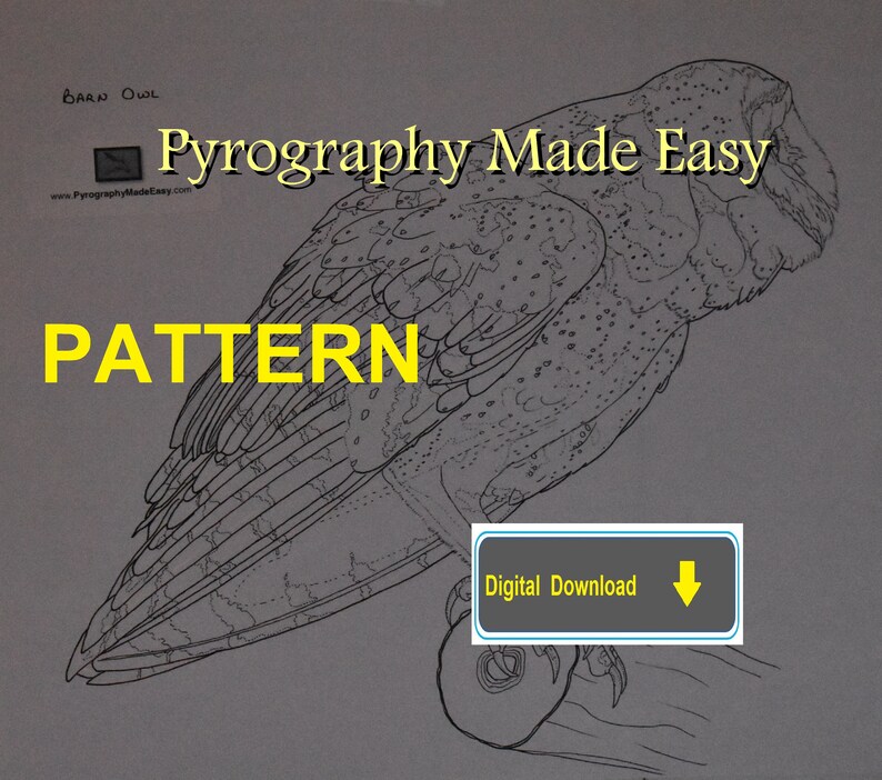 Barn Owl II Pyrography Pattern Wood Burning Pattern Digital - Etsy