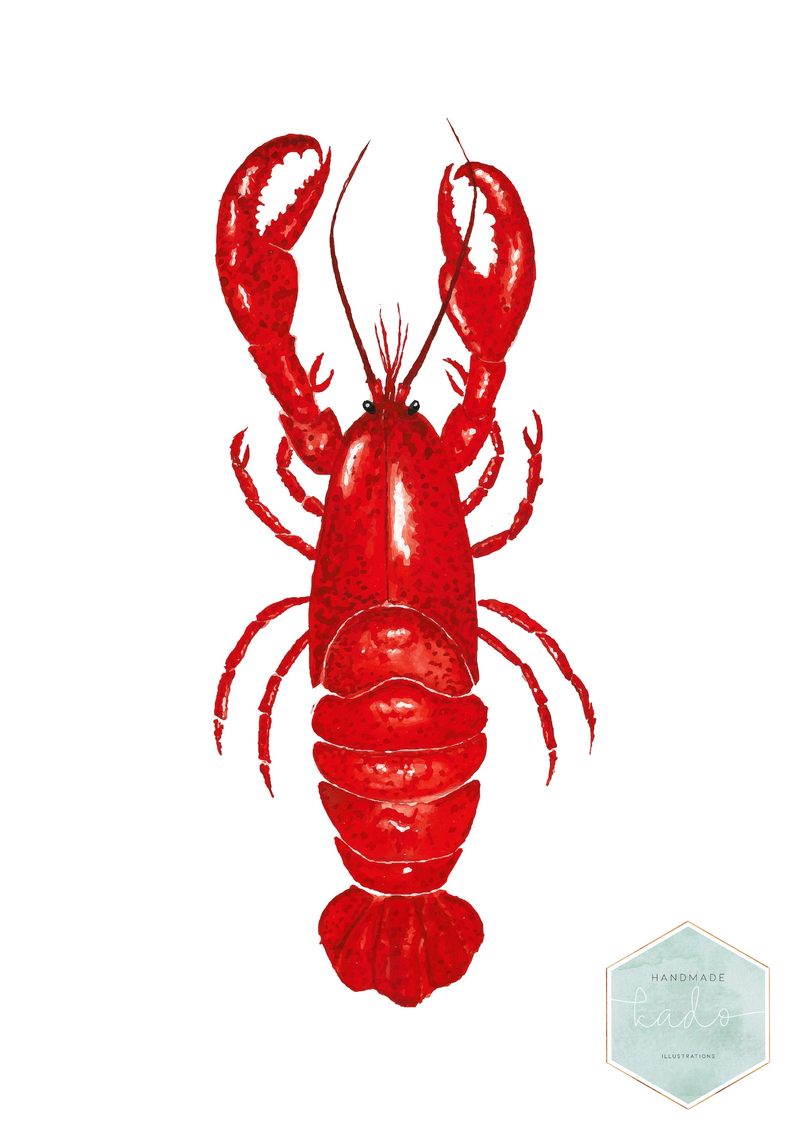 Aquarel kreeft print kreeft tekening waterverf zee poster - Etsy Nederland
