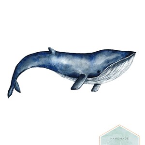 Aquarel walvis print, walvis tekening, waterverf, zee poster, dieren ...