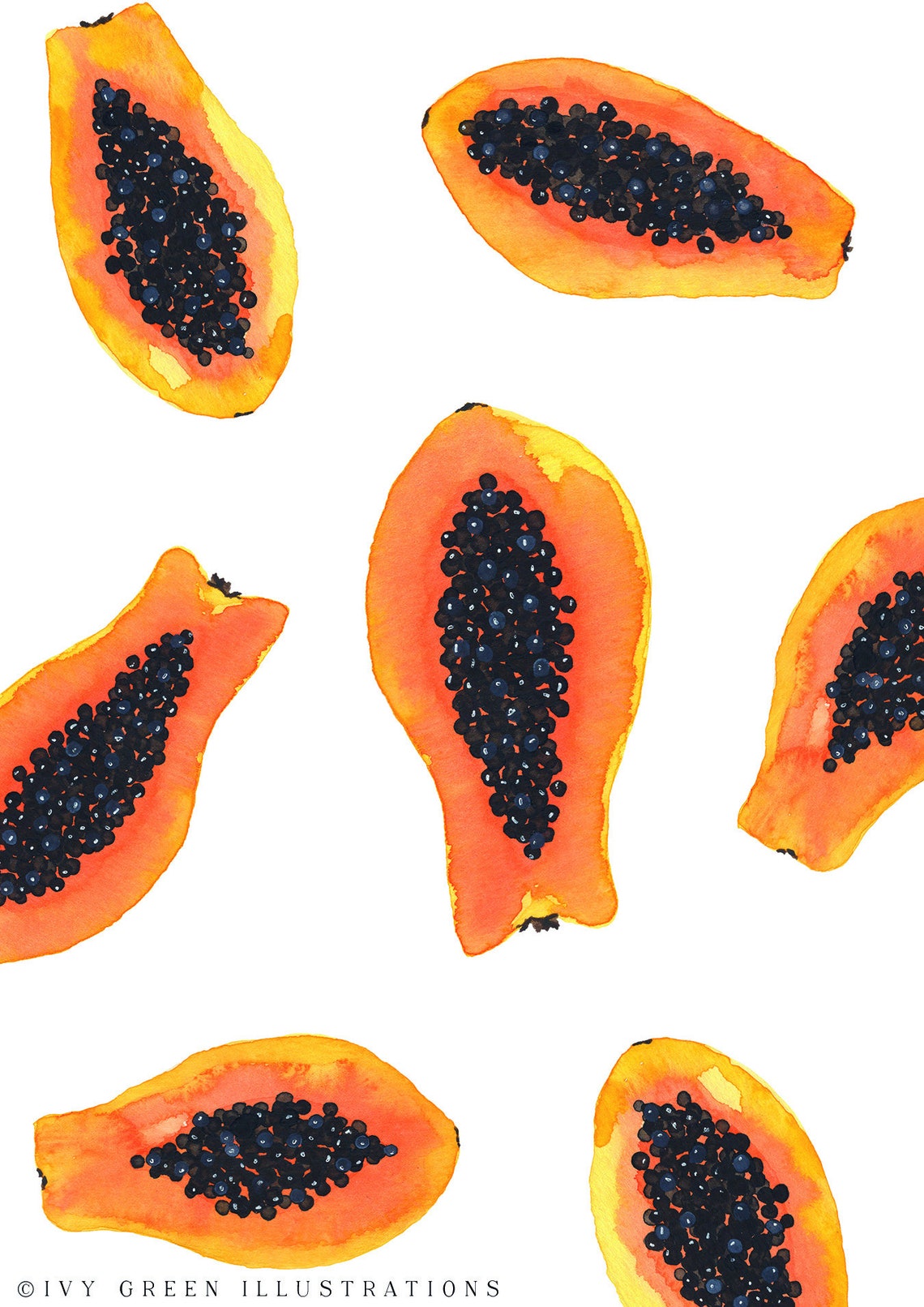Papaya Botanical Chart - Vegetable Print, Watercolor Fruit, Botany ...