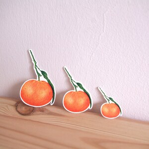 Clementine Sticker Pack | 3 Sizes | Fruit Realistic Illustration ...