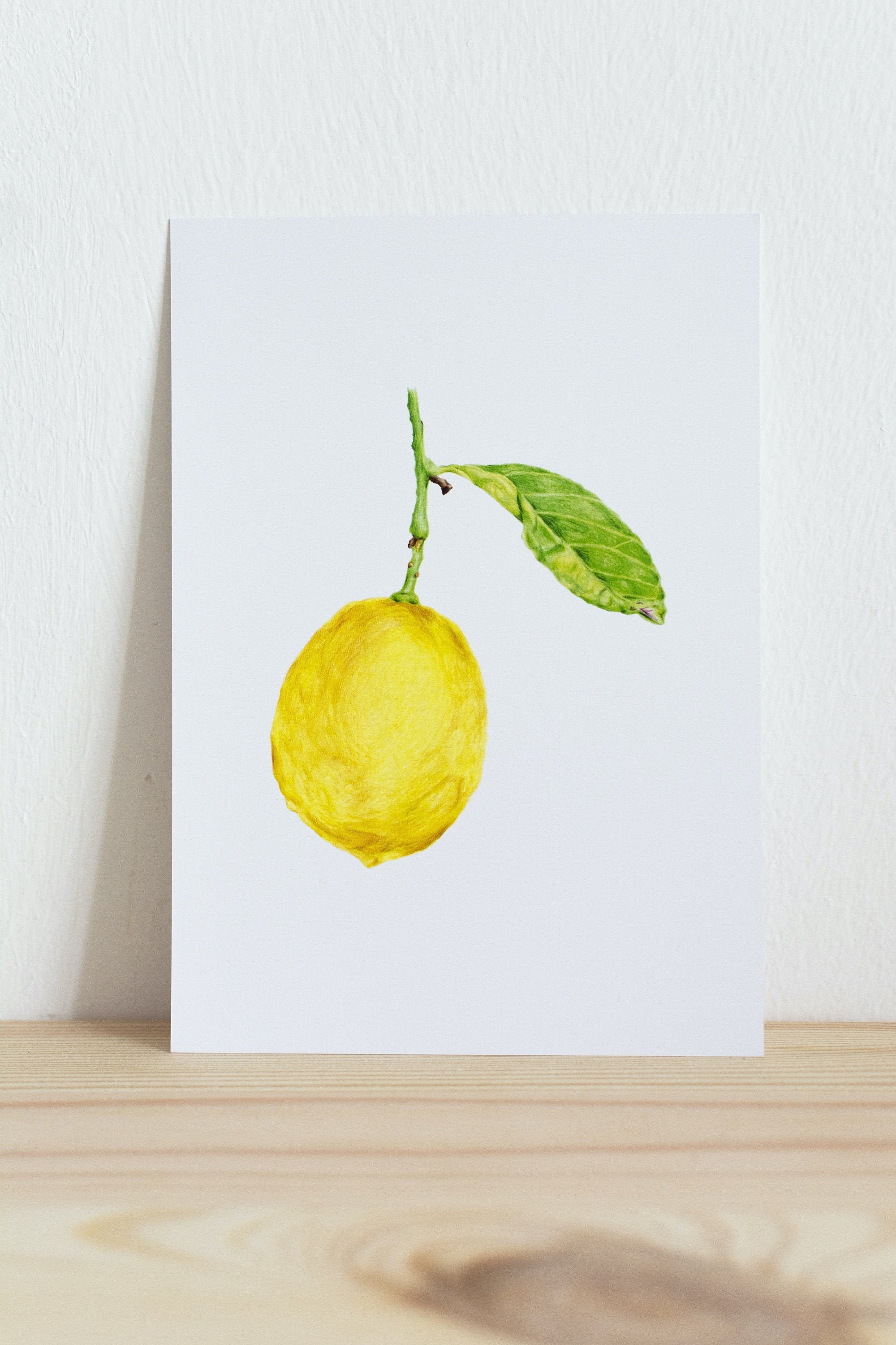 Lemon Postcard Citrus Fruit Illustration Handmade - Etsy Polska