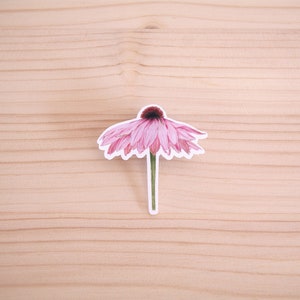 Pink Flowers Sticker Pack | 3 Sizes | Plant Realistic Illustration ...