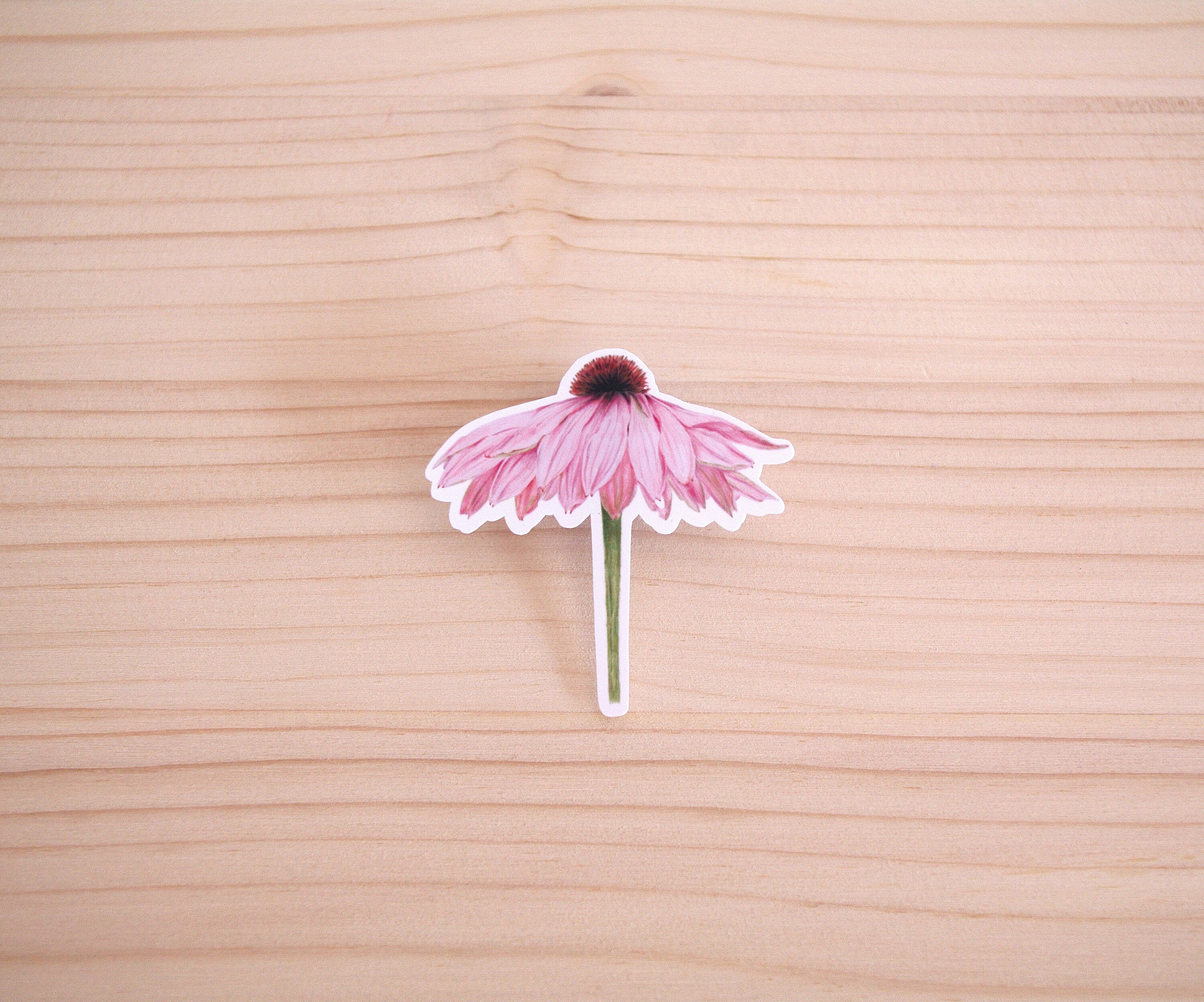 Pink Flowers Sticker Pack | 3 Sizes | Plant Realistic Illustration ...