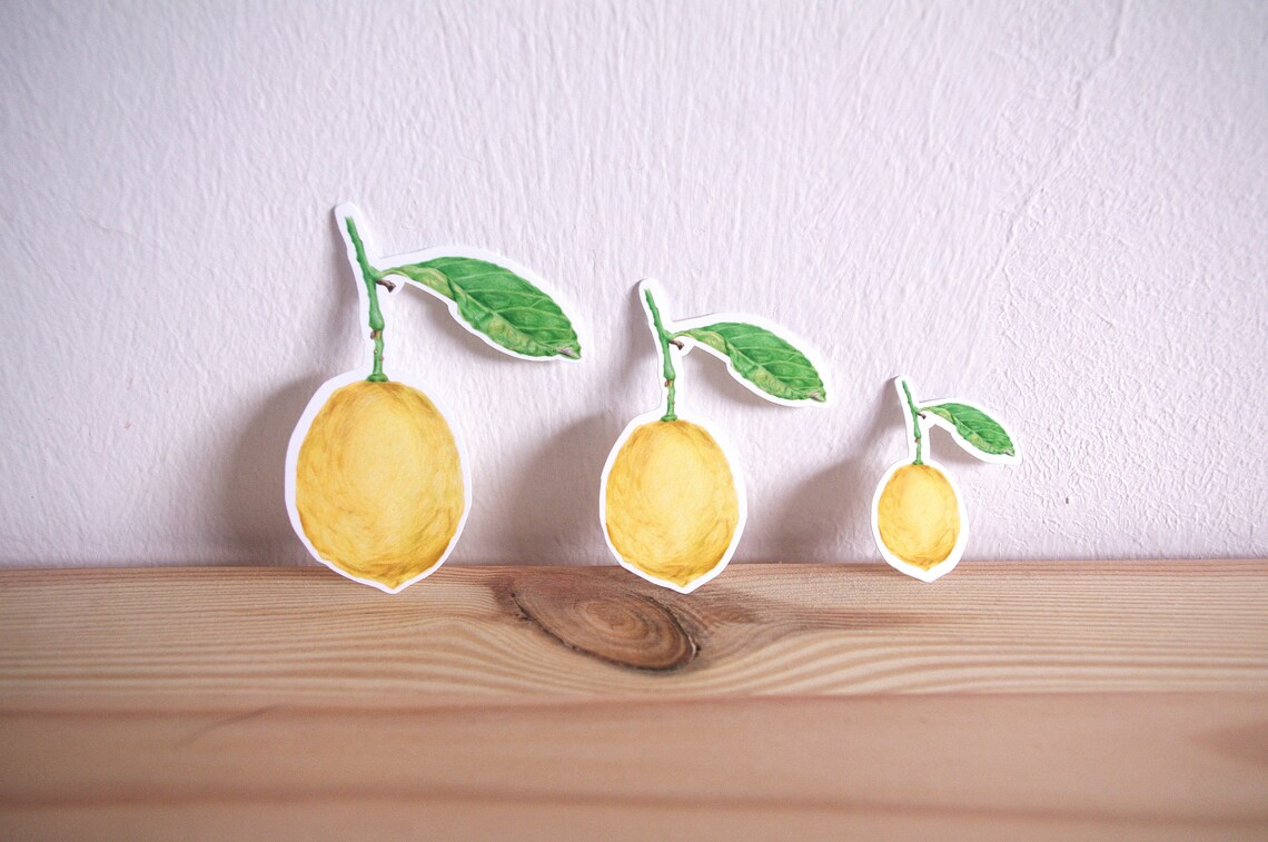 Lemon Sticker Pack | 3 Sizes | Fruit Realistic Illustration | Handmade ...