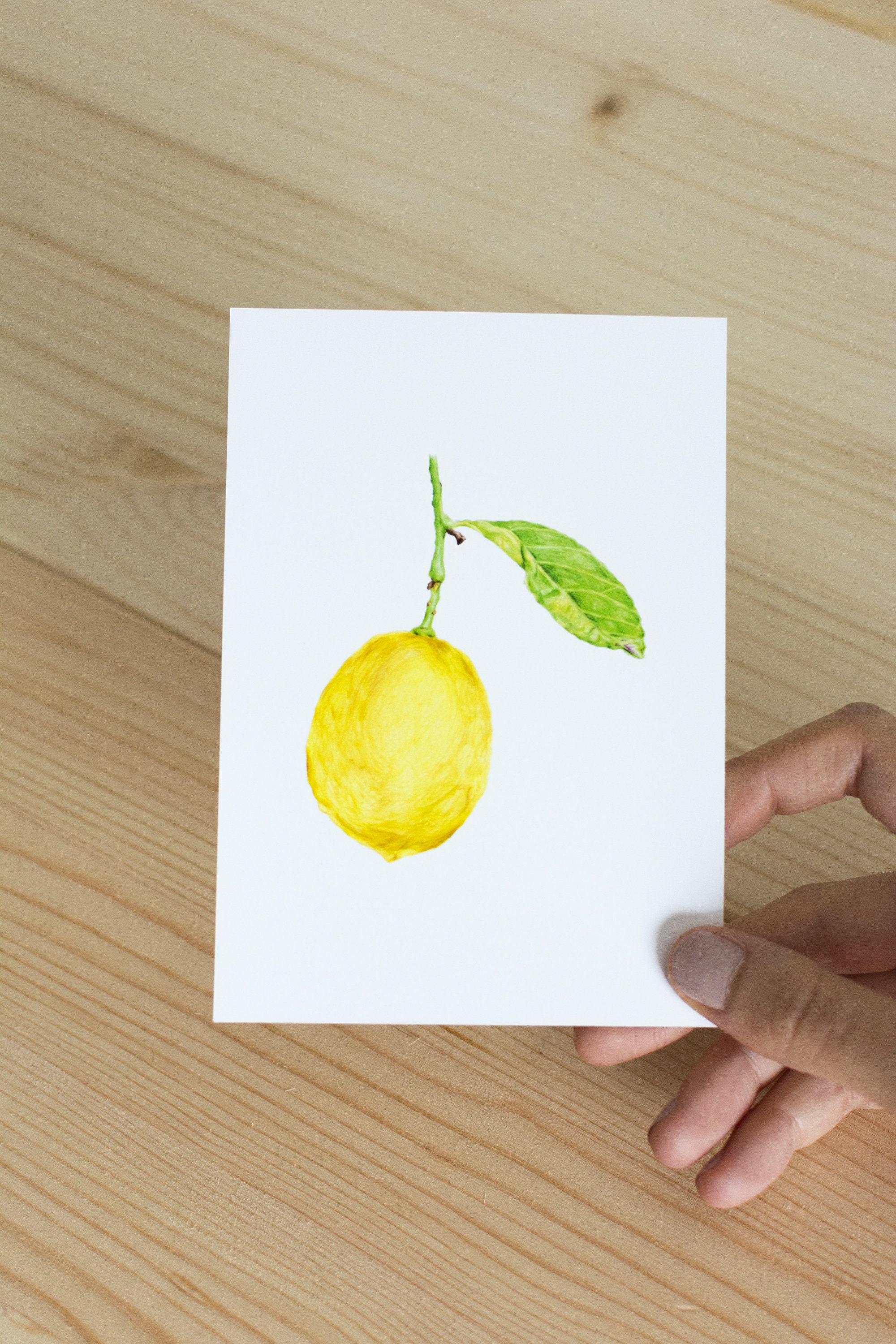 Lemon Postcard Citrus Fruit Illustration Handmade - Etsy Polska