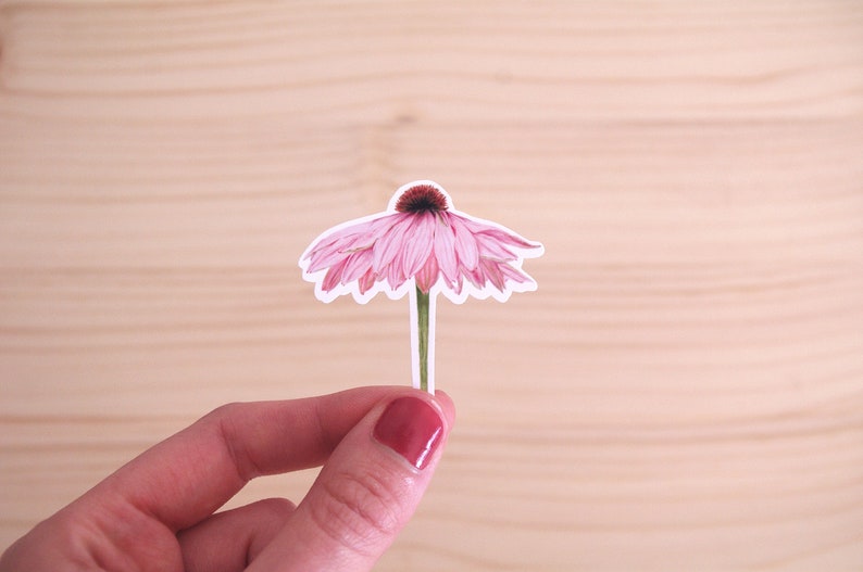 Pink Flowers Sticker Pack | 3 Sizes | Plant Realistic Illustration ...