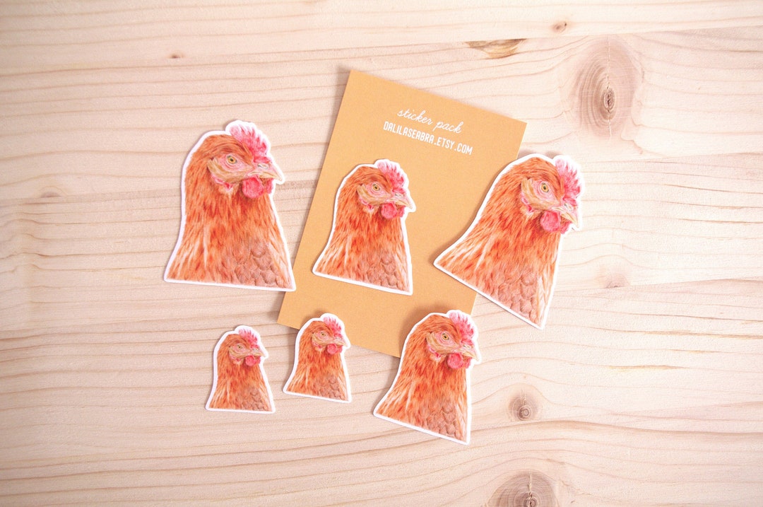 Chicken Sticker Pack 3 Sizes Bird Realistic Illustration - Etsy