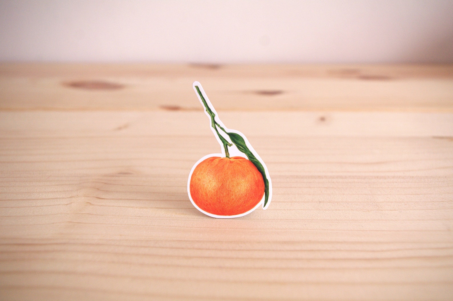 Clementine Sticker Pack 3 Sizes Fruit Realistic Illustration Handmade ...