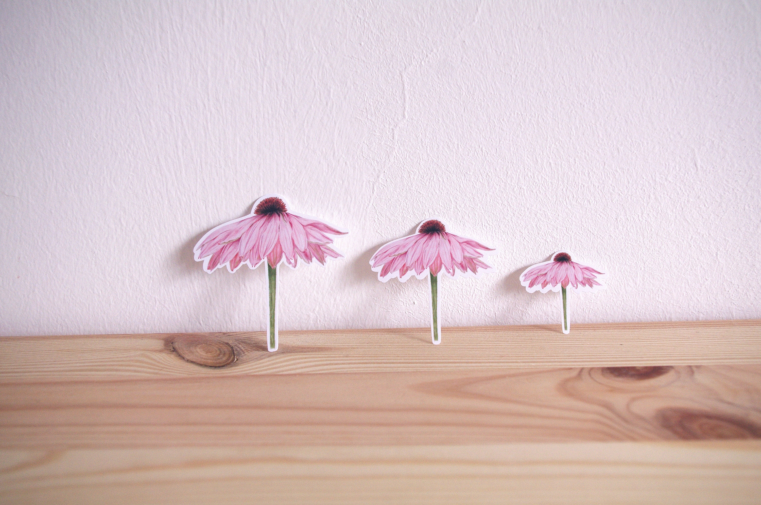 Pink Flowers Sticker Pack | 3 Sizes | Plant Realistic Illustration ...