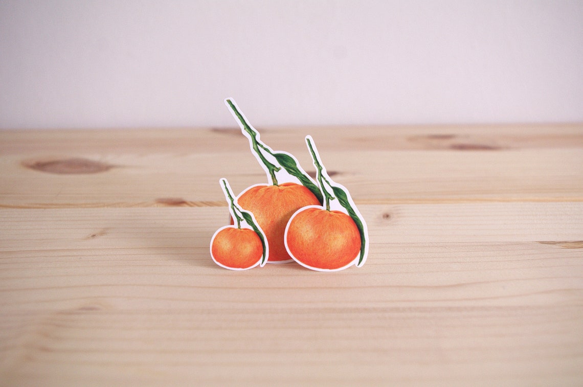 Clementine Sticker Pack 3 Sizes Fruit Realistic - Etsy