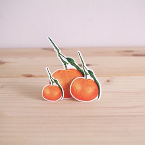 Clementine Sticker Pack | 3 Sizes | Fruit Realistic Illustration ...
