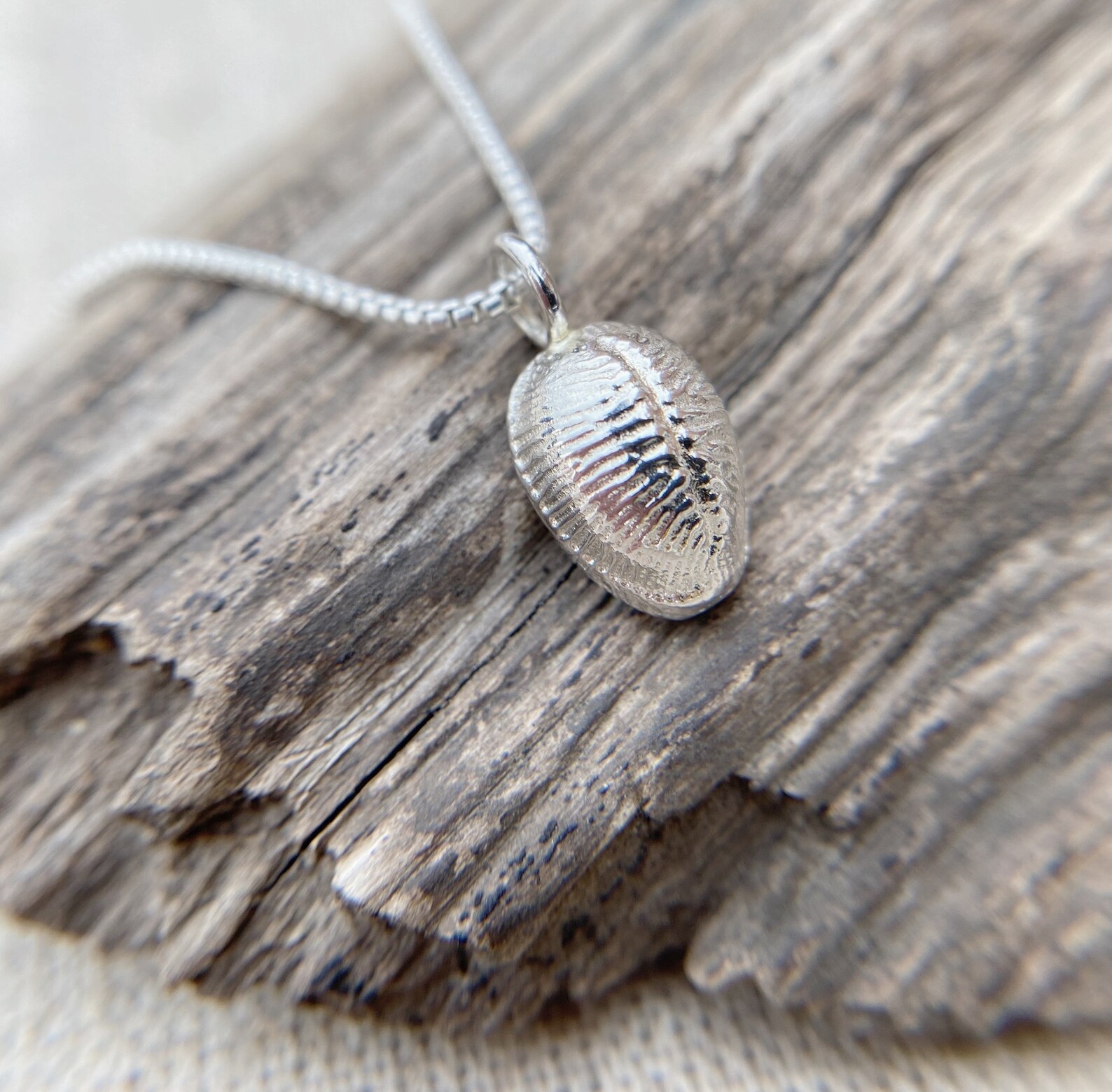 Silver Shell Necklaces, Handmade, Sterling Silver Shell Pendant, Ocean ...