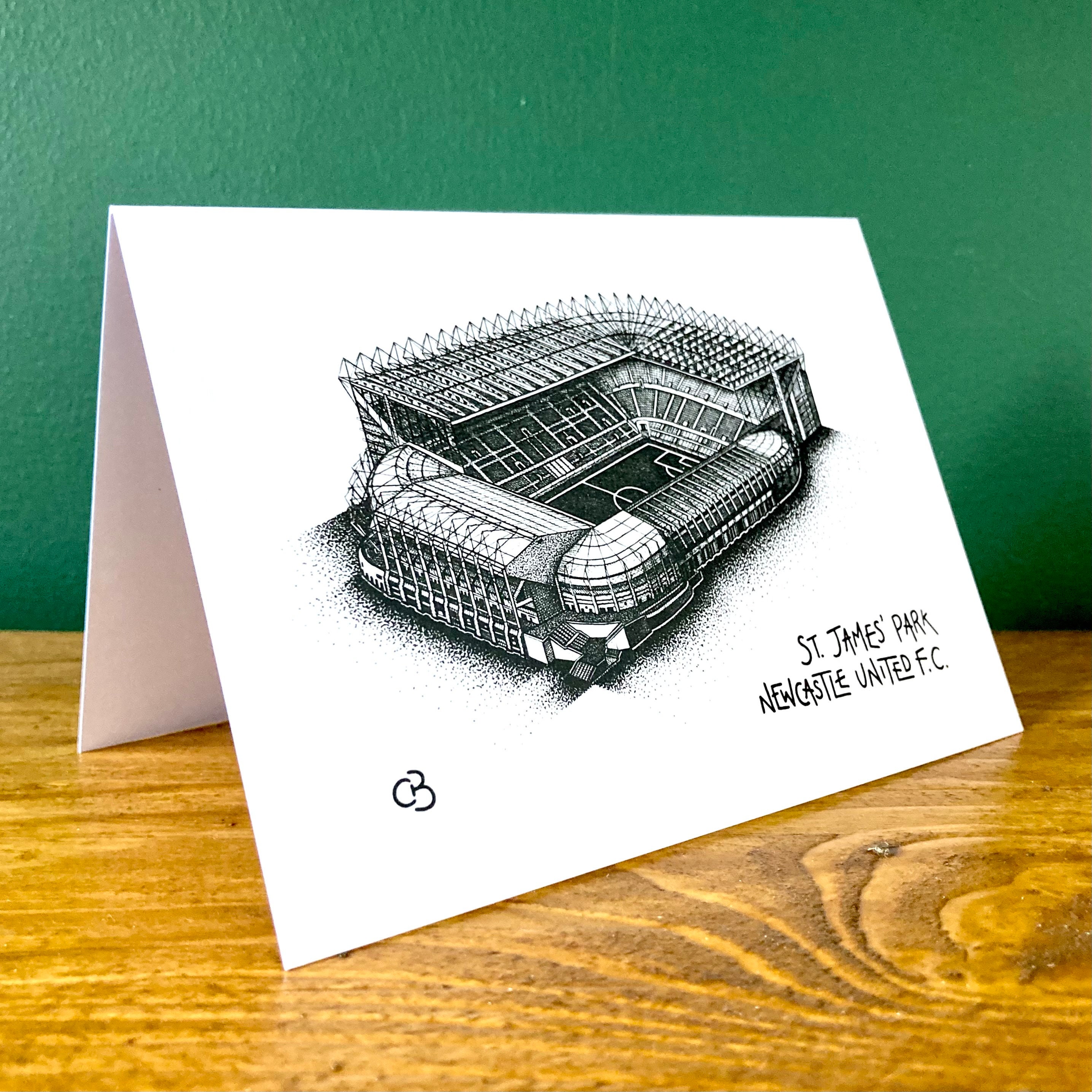 Newcastle United FC Stadium Digital Print of a Hand-drawn Pen and Ink ...