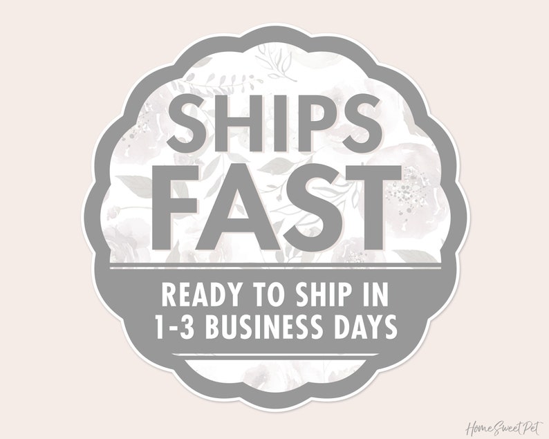 Pasta Dog Tag for Dog Spaghetti and Meatball Pet Tag | Etsy