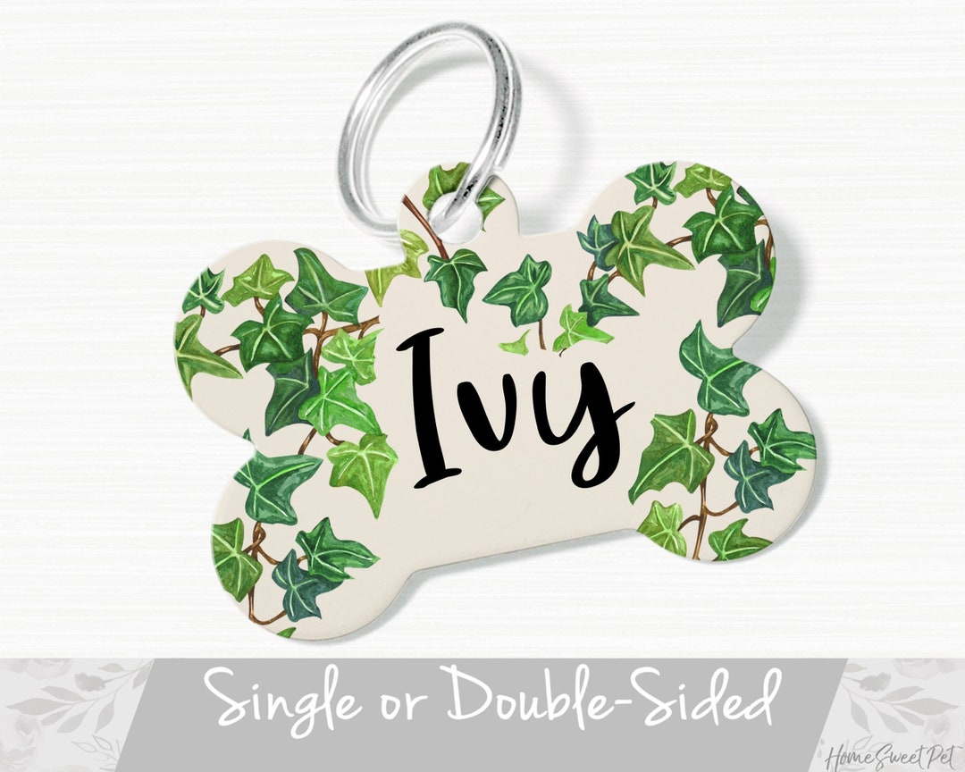 Ivy Dog Tag for Dog, Ivy Pet Tag, Personalized Pet ID Tag, Custom Dog ...