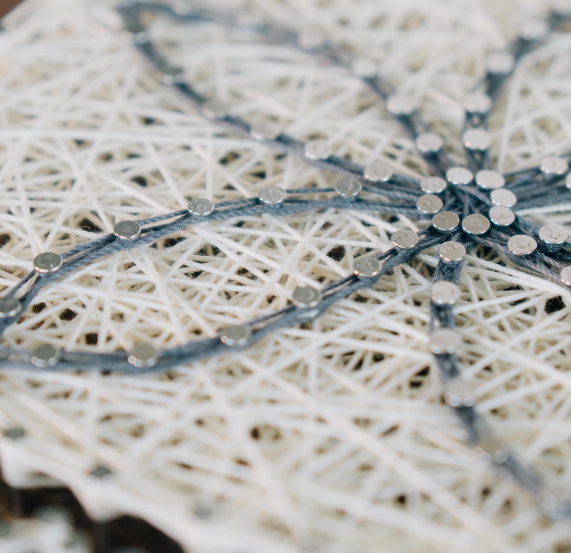 Sea Biscuit String Art - Etsy