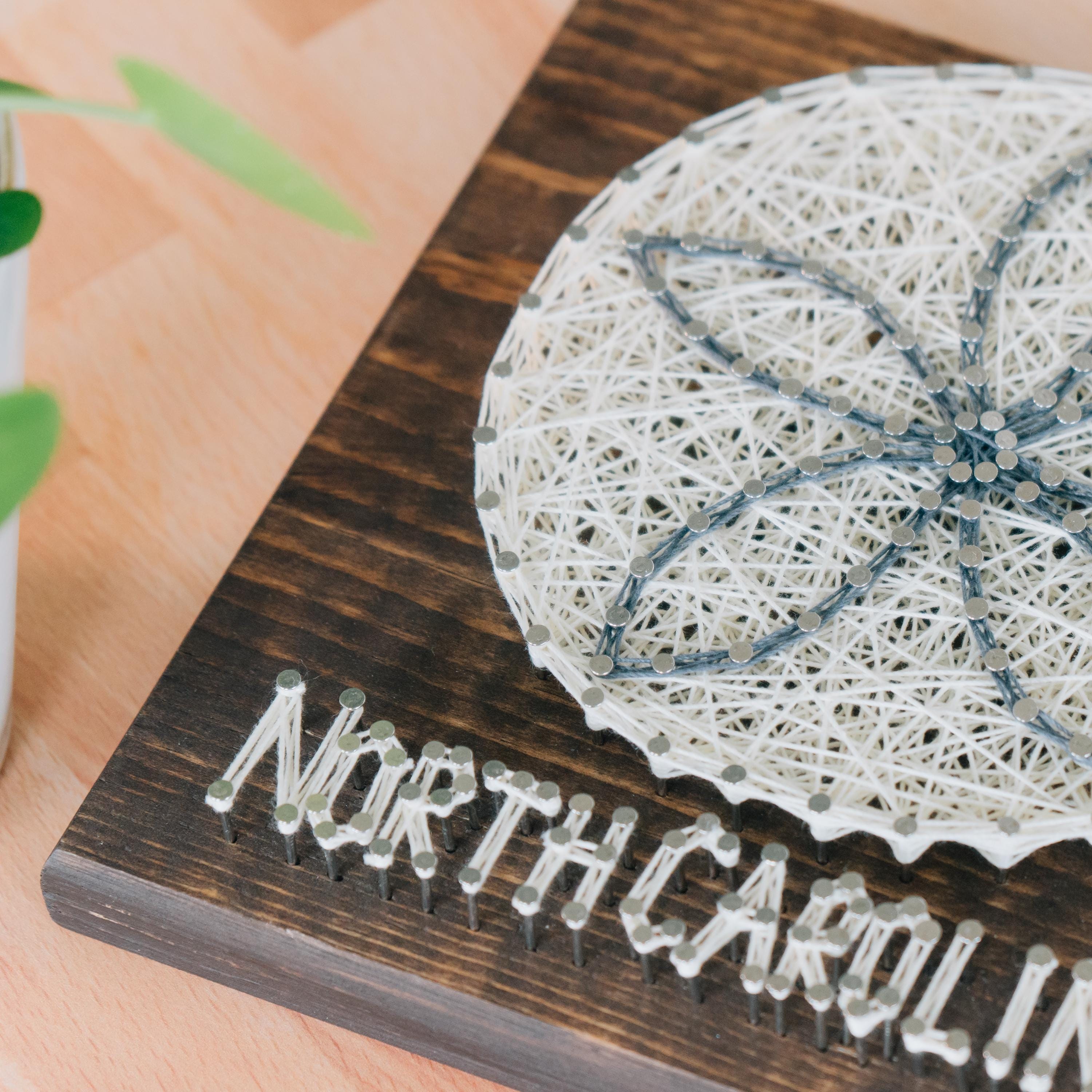 Sea Biscuit String Art - Etsy