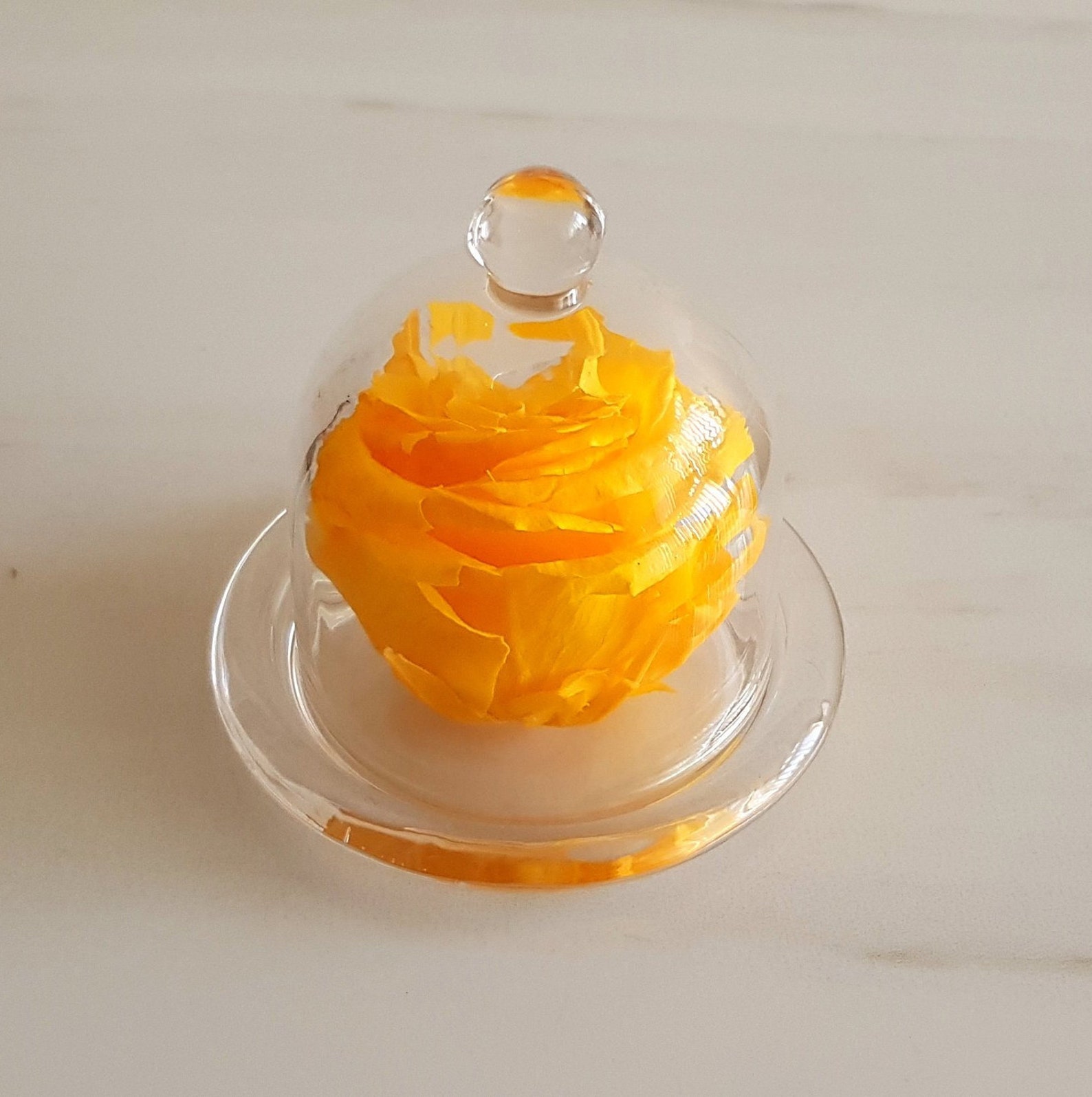 Yellow Preserved Rose in a Glass Dometimeless rosegift for | Etsy