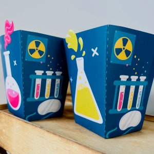 Mad Science Party Favor Boxes/ Scientist Science Lab Party Snack Box ...