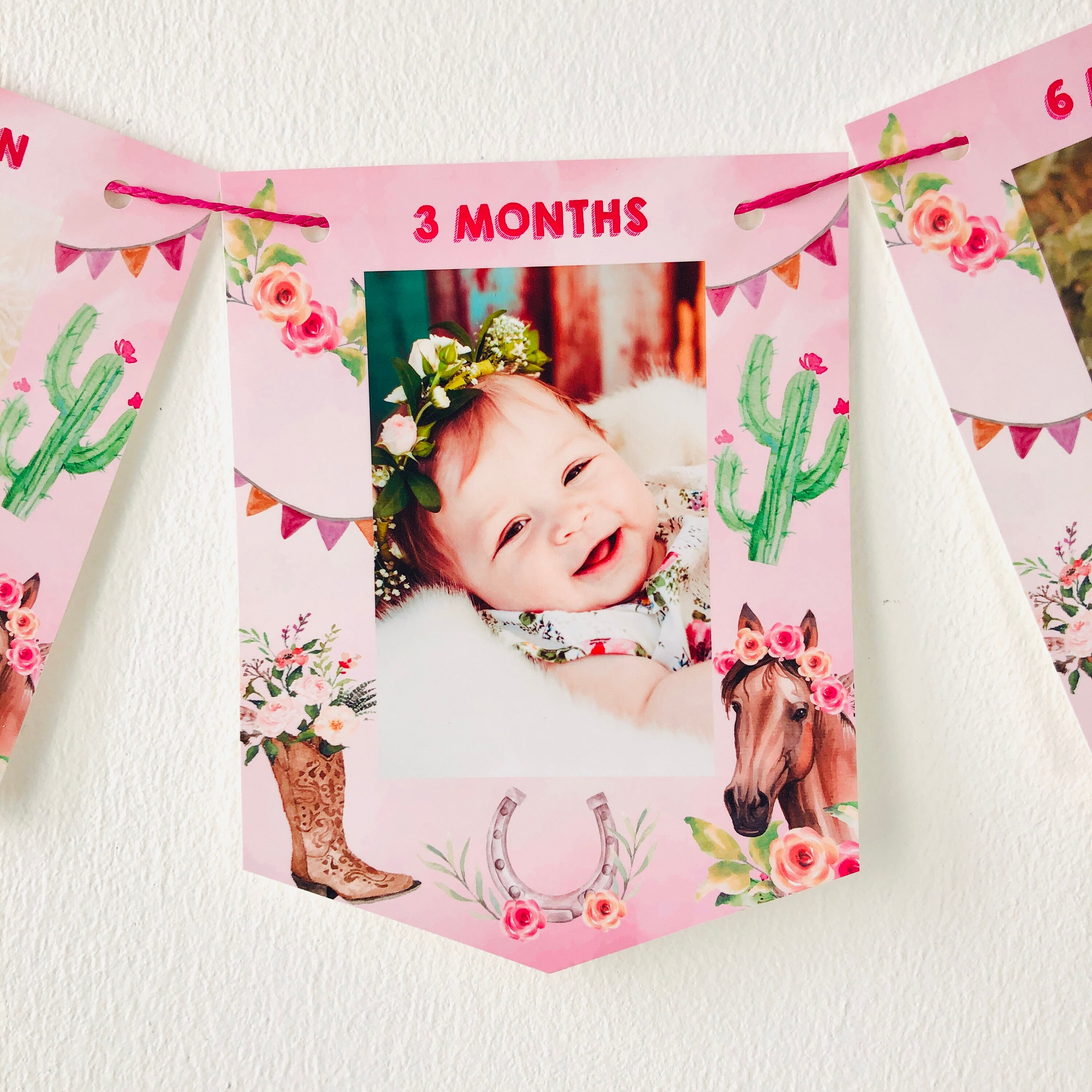 Baby Girl Monthly Milestone Horse Photo Banner/ First Birthday | Etsy