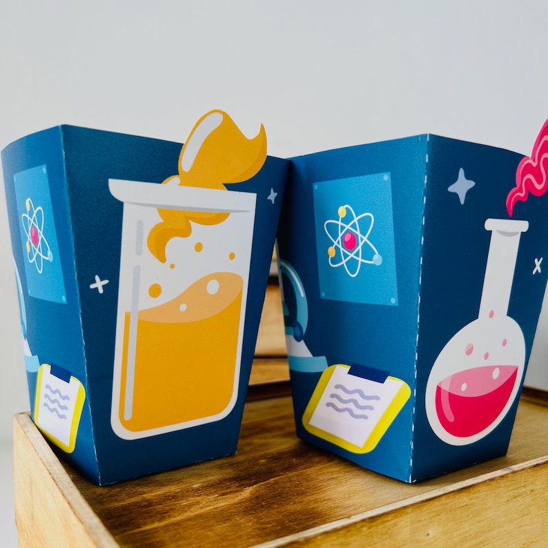 Mad Science Party Favor Boxes/ Scientist Science Lab Party - Etsy