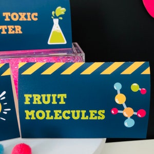 Girl Science Food Labels Editable Party Printables/ Scientist Party ...
