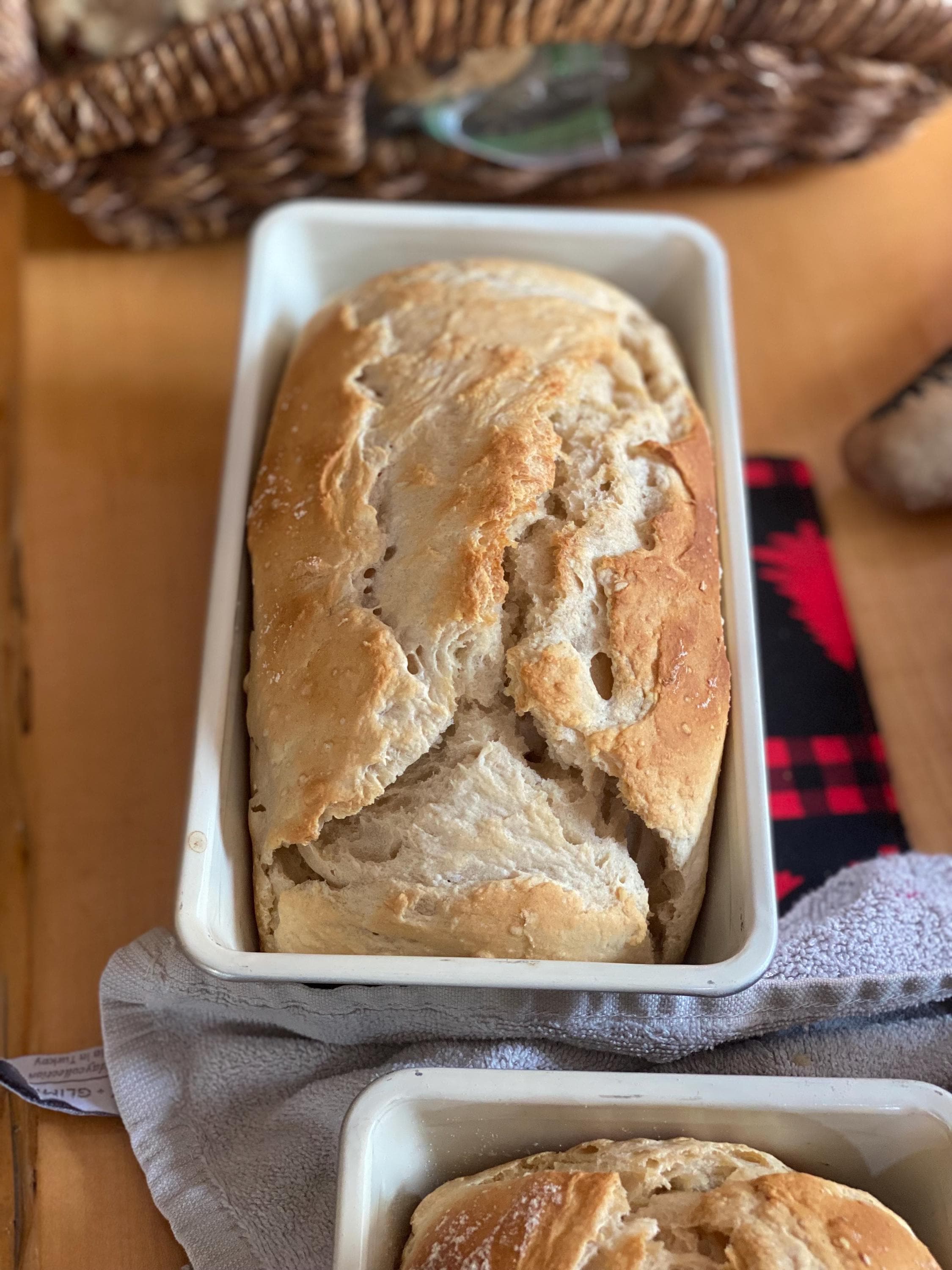 Farm Fresh Organic Sourdough Starter /sourdough Bread Making/gifts ...