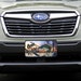 Custom Personalized Front License Plate, Fishing Bass Car Coasters ...