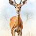 Impala Print | Impala | Safari Animal | Jungle Print| Digital Download ...
