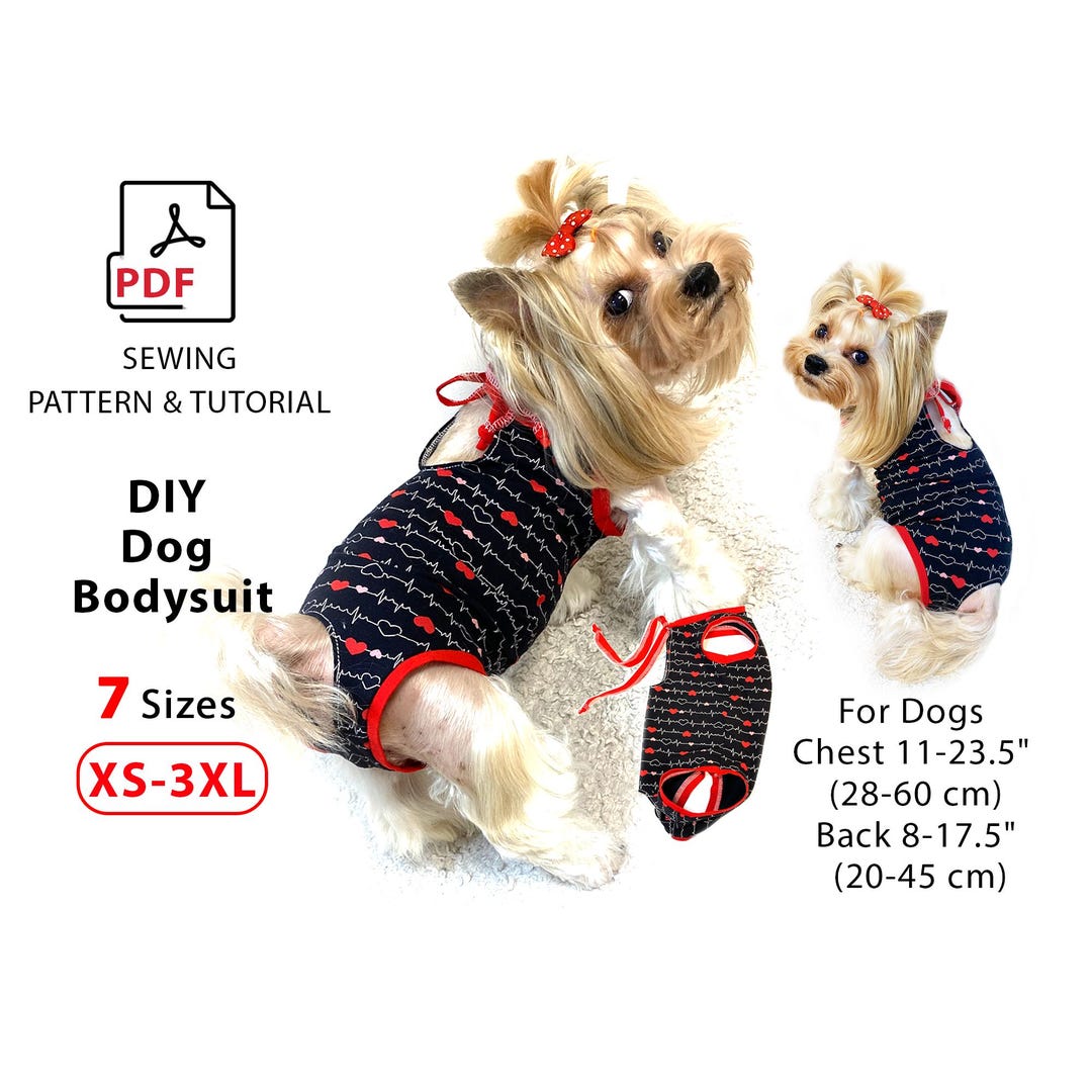 PDF Sewing Pattern Dog or Cat Recovery Suit, Sanitary Pants, Surgical ...