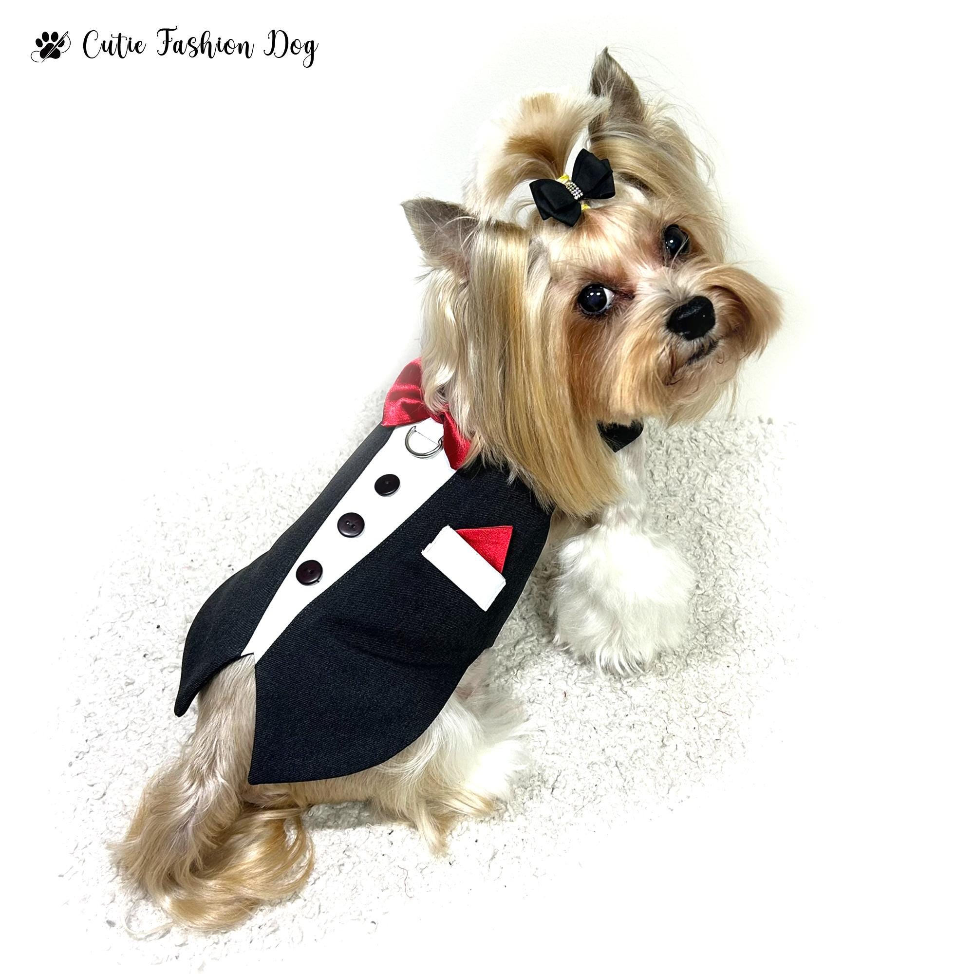Dog Tuxedo Sewing Pattern Bundle 7 Sizes XS-3XL (PDF Download) - Etsy