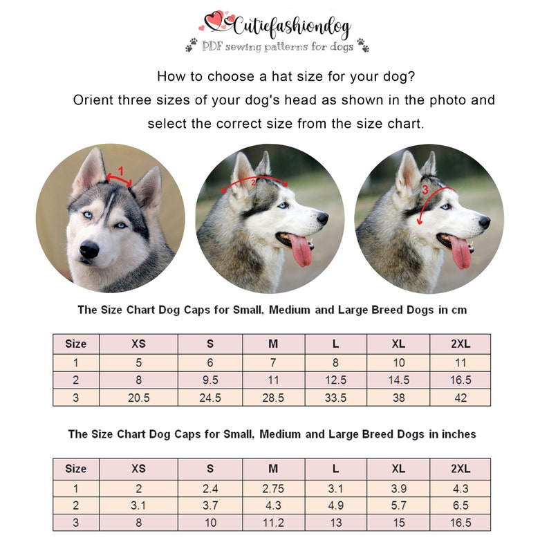 Dog Baseball Cap Sewing Pattern - DIY Pet Hat (PDF Download Pattern) - Etsy