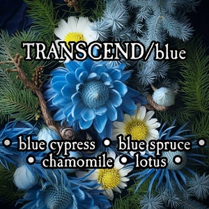 PRIDE Fragrance Collection LGBTQIA Poets Perfume Oil and Cologne Oil ...