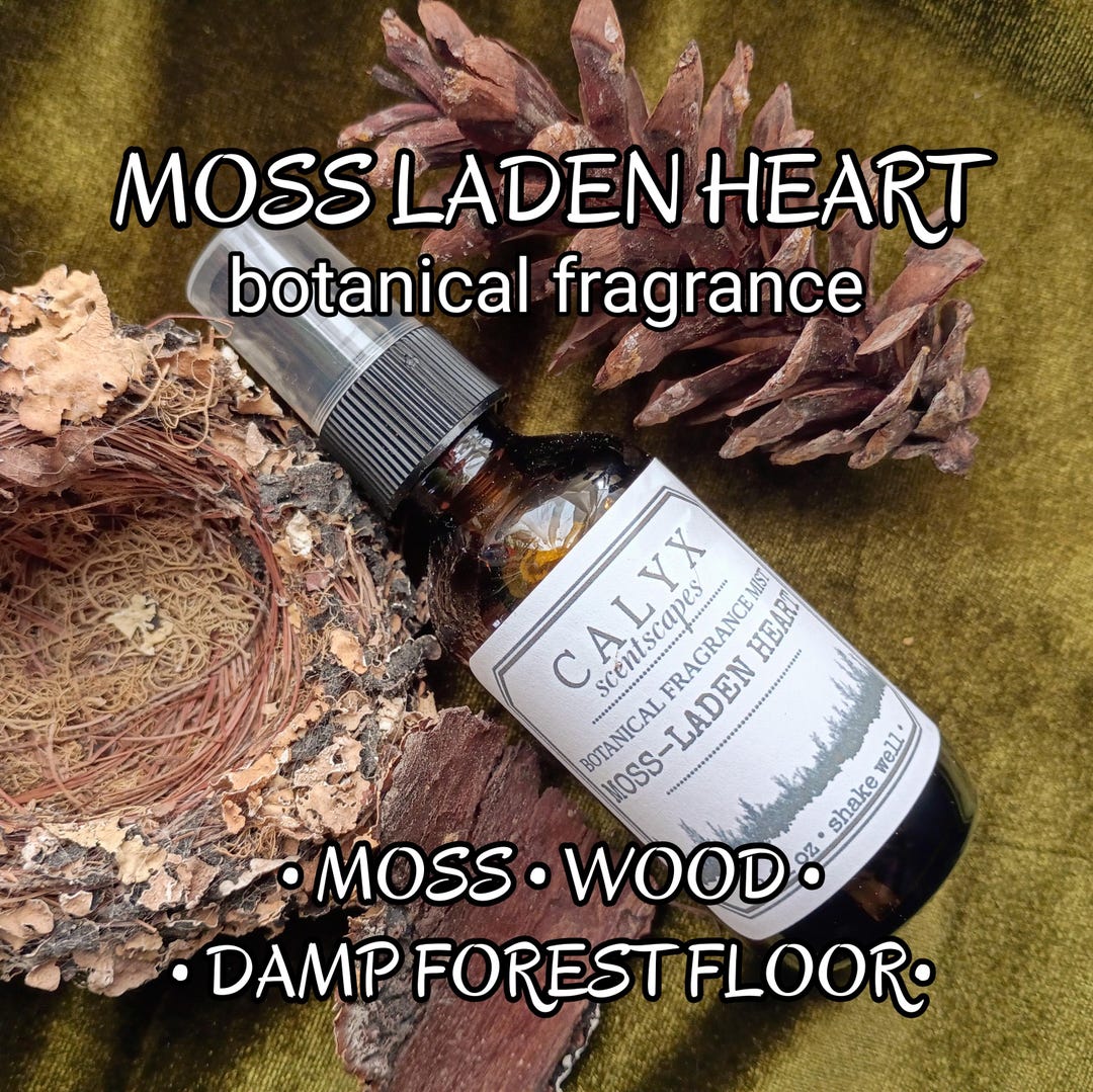 Mossy Forest Floor Cologne Oil – Unisex Botanical Damp Forest Fragrance ...
