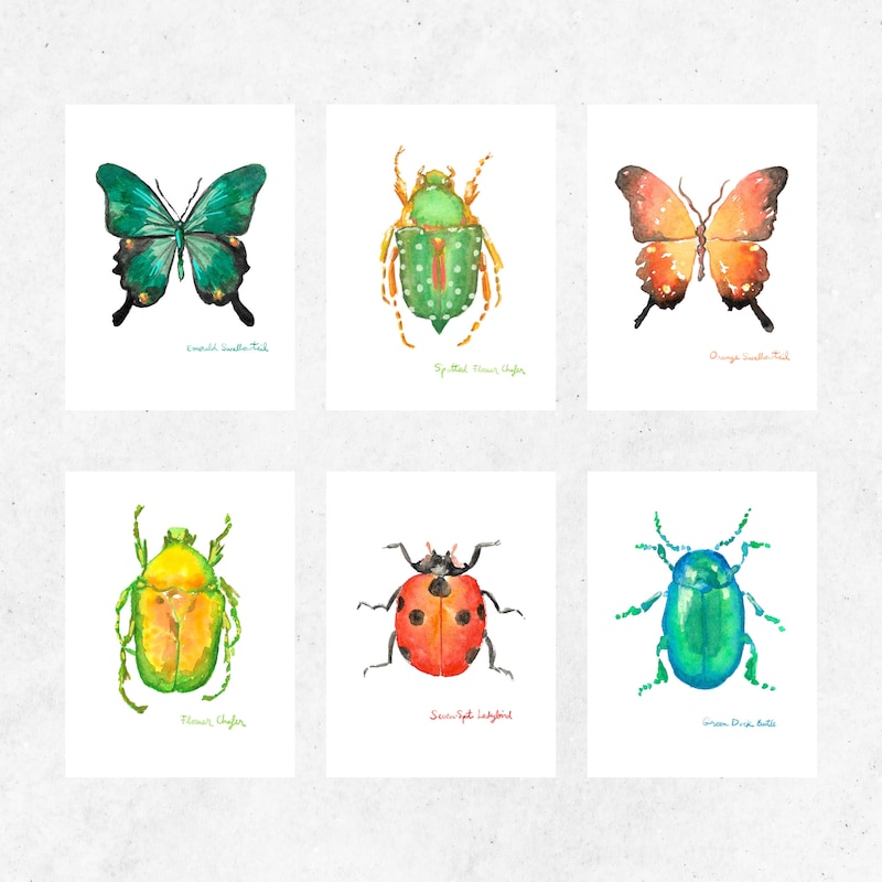 Insect Wall Art - Etsy