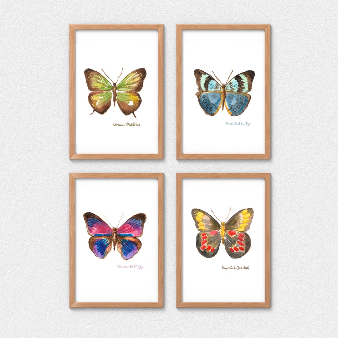 Butterfly Set of 4 Watercolor Prints, Green Oakblue Butterfly, Claudina ...