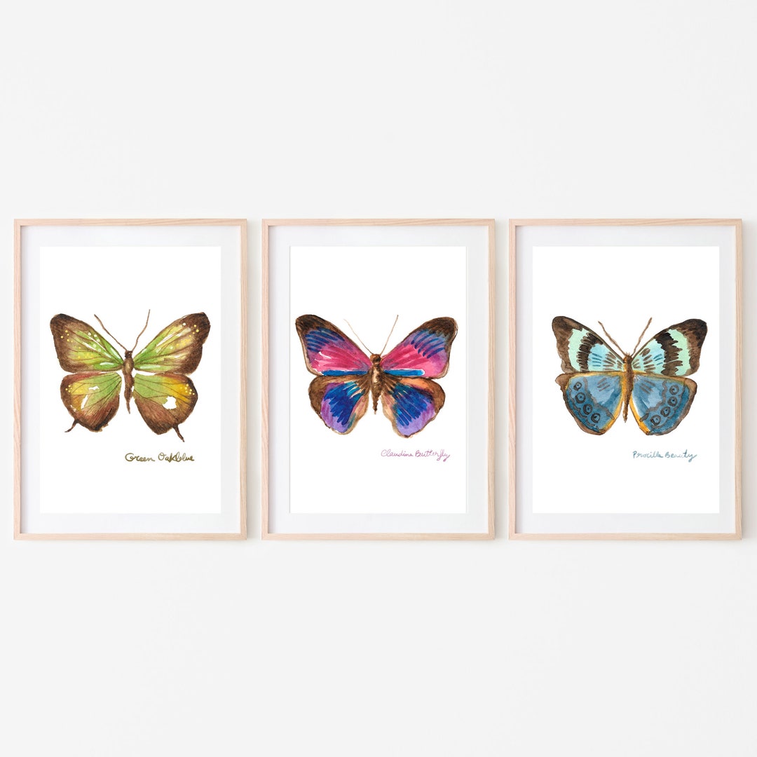 Set de 3 estampados de mariposas, colección de estampados de mariposas ...