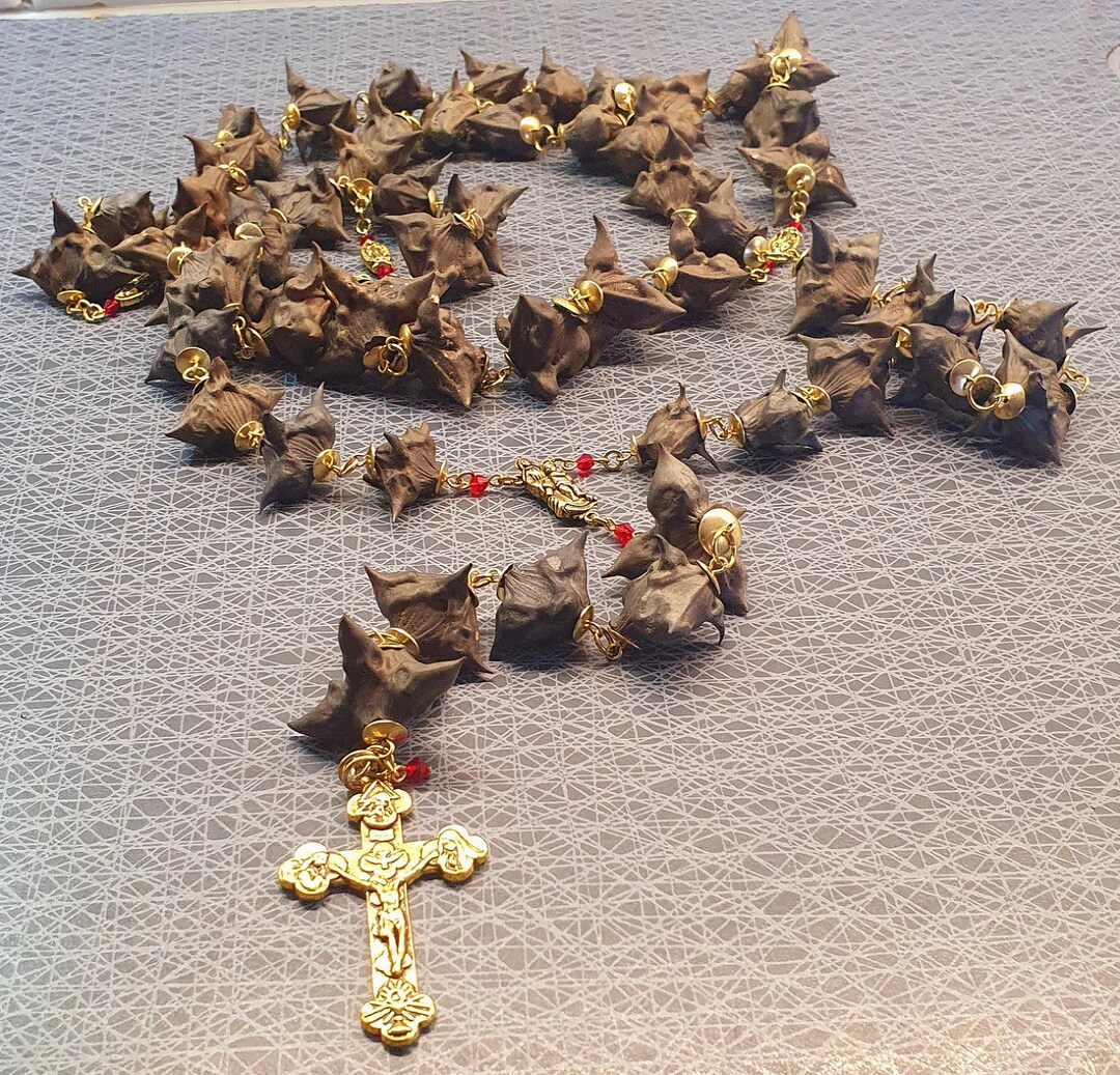 Bat Nut, Devil Pod, Ward of Evil, Wall Rosary, Mother Mary, Goth ...