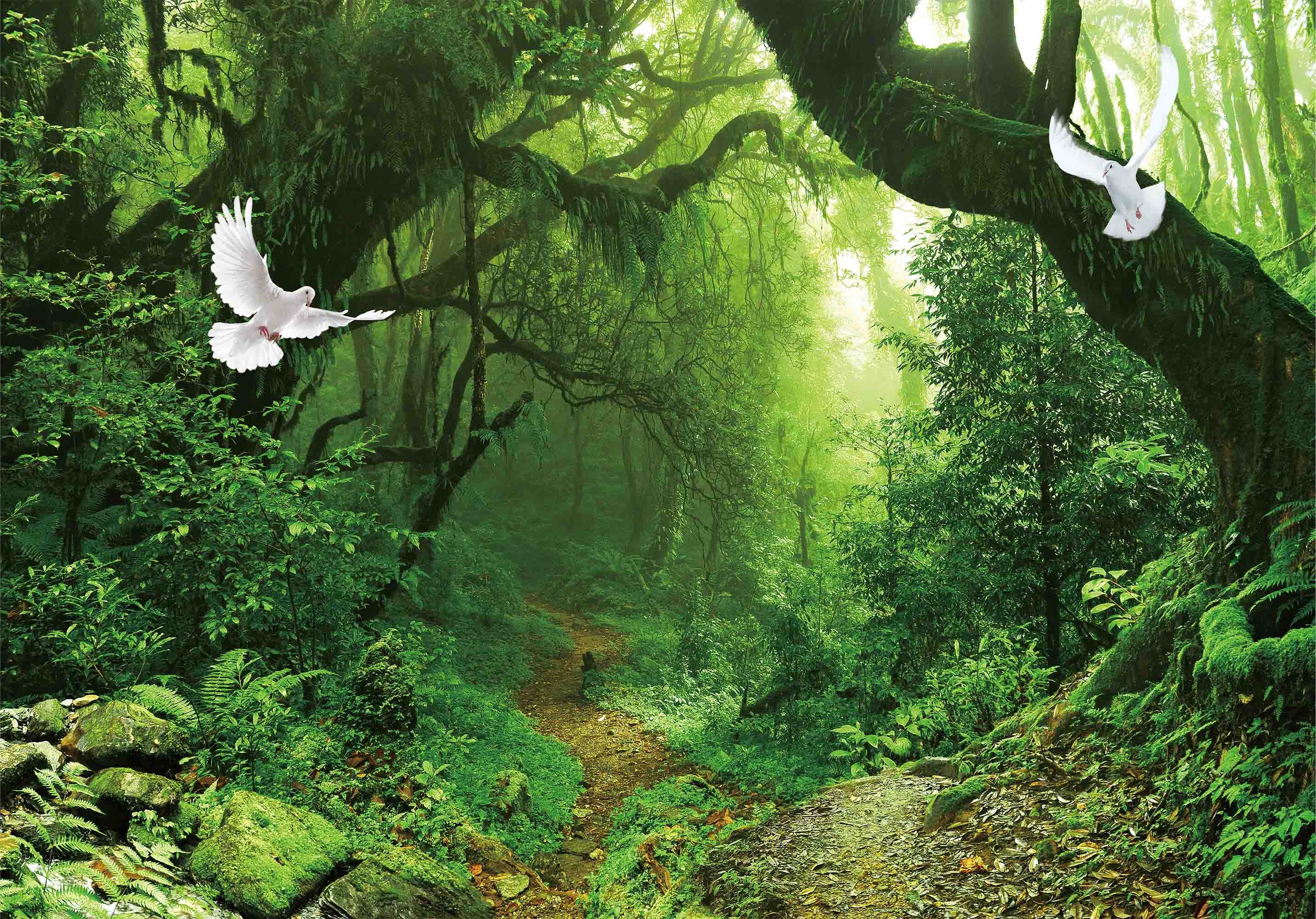 Green Forest Wallpaper Mural, Tree Pigeon 3D Peel and Stick - Etsy